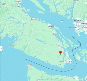 Vancouver Island Digital Marketing Agency | Marwick Marketing
